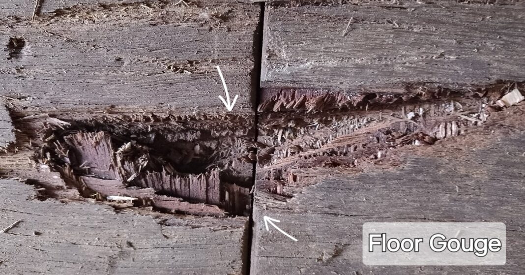 18 Effective Methods for Identifying Container Floor Damage