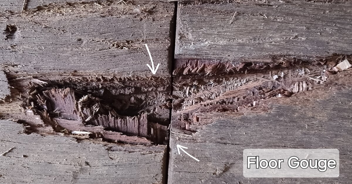 18 Effective Methods for Identifying Container Floor Damage