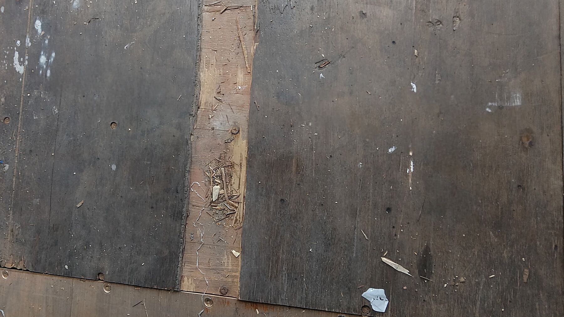 Shipping Container Floor Delamination vs Floor Broken